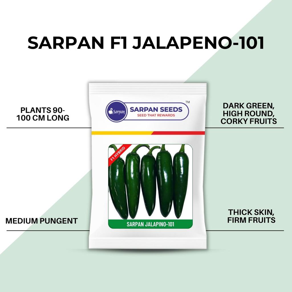 Sarpan F1 -Jalapeno -101 – Sarpan Seeds