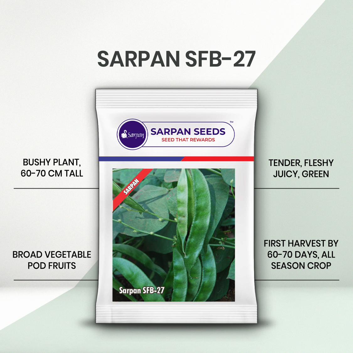 Sarpan SFB -27 ( Veg) – Sarpan Seeds