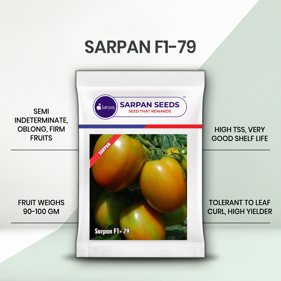 Sarpan F1- 79 – Sarpan Seeds