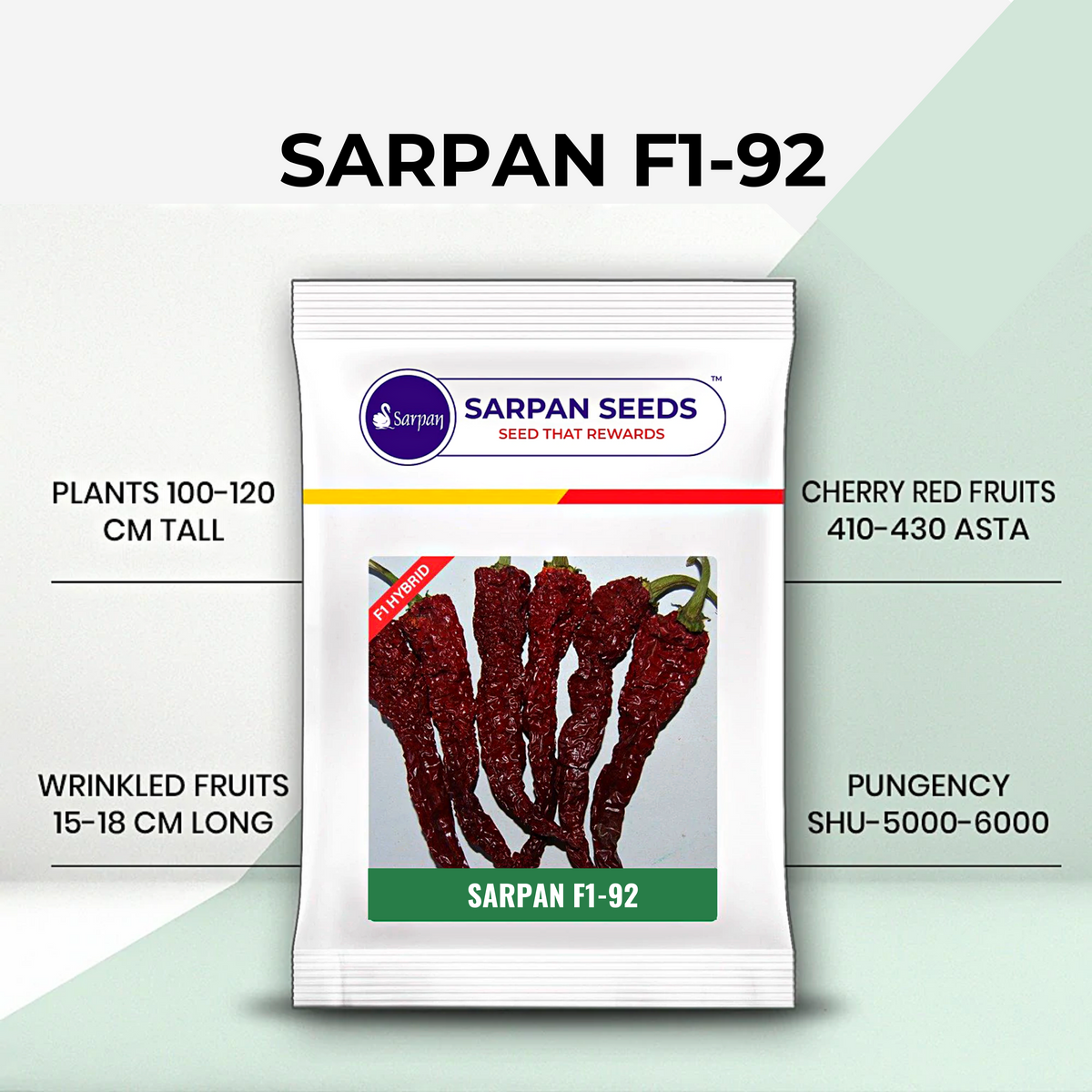 Sarpan F1- 92 ( Dabbi Byadgi Chilli seeds ) – Sarpan Seeds