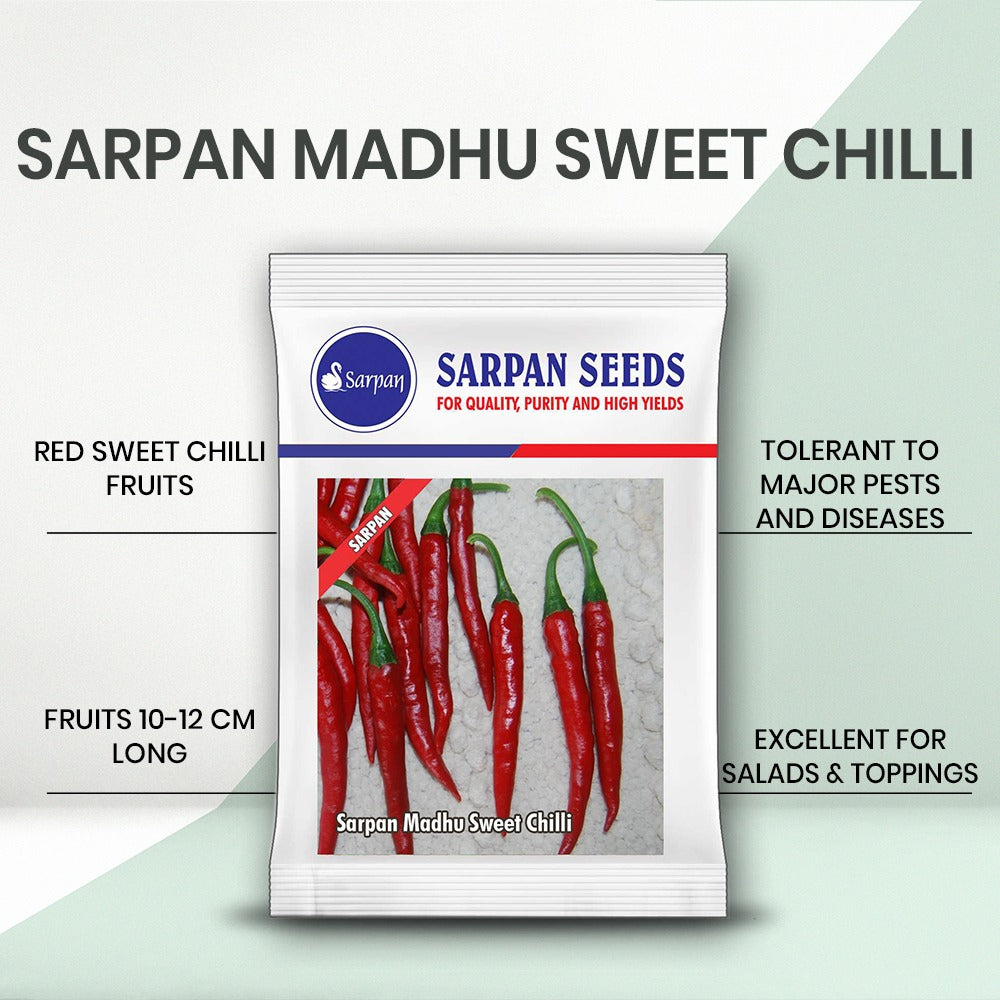 Sarpan Madhu Sweet Chilli – Sarpan Seeds
