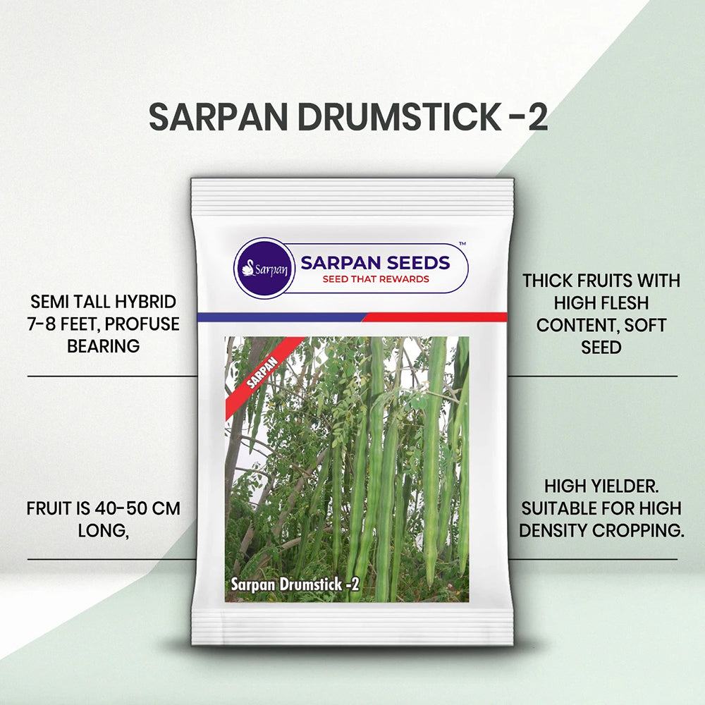 Sarpan Drumstick-SD-2 – Sarpan Seeds