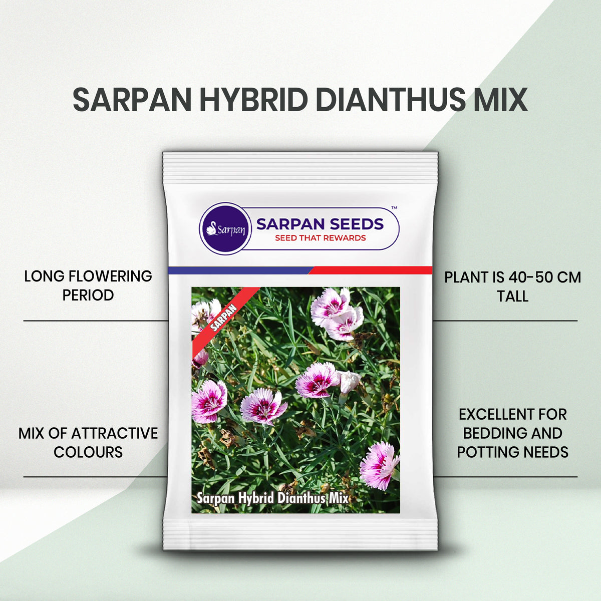 Sarpan Hybrid Dianthus Mix – Sarpan Seeds