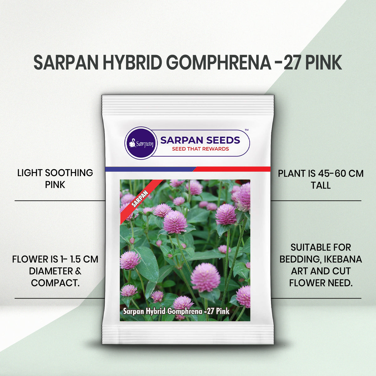 Sarpan Hybrid Gomphrena -27 Pink – Sarpan Seeds