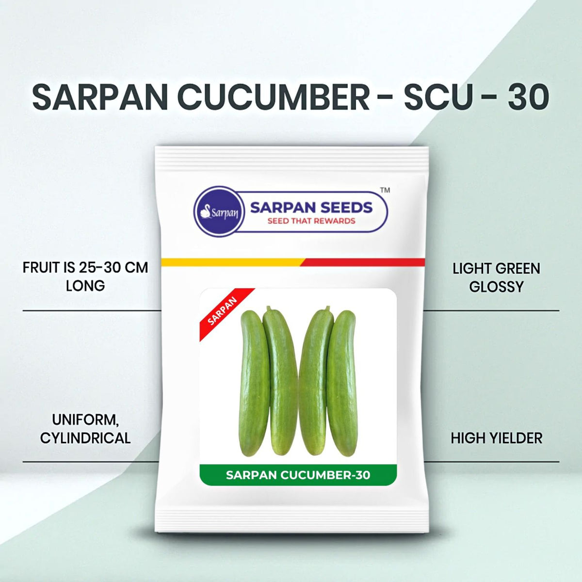 Sarpan Cucumber –SCU-30 – Sarpan Seeds